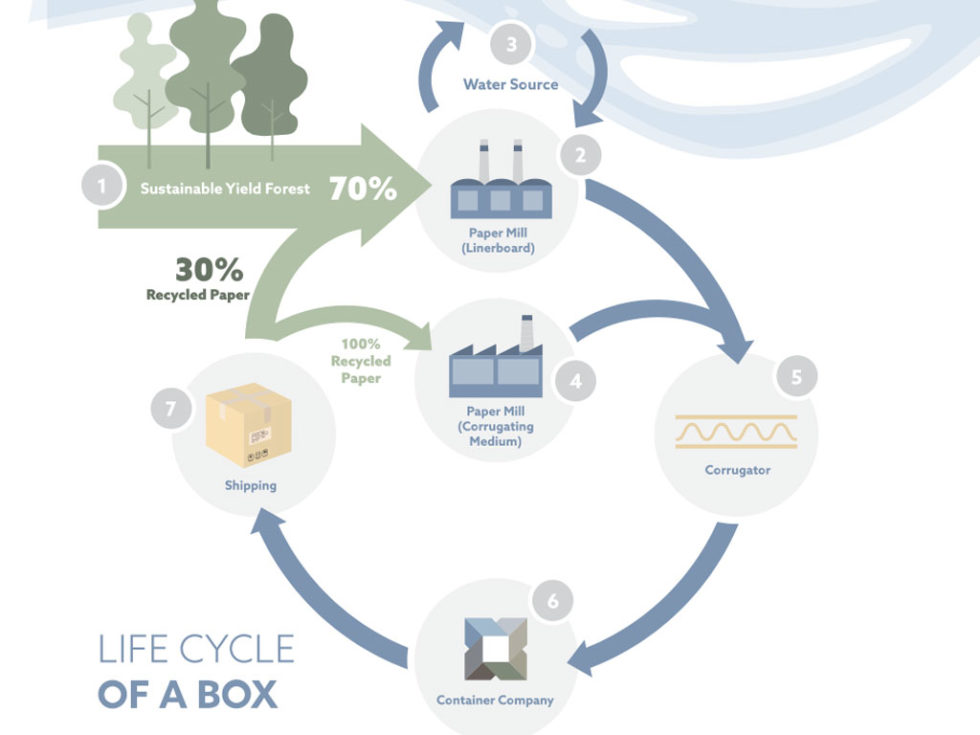 Life Cycle of a Box - Coastal Container